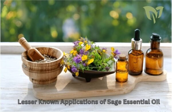 Sage Essential Oil: Benefits, Uses, and Precautions