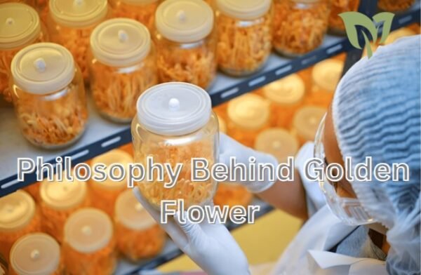 Golden Flower Chinese Herbs: Ancient Healing